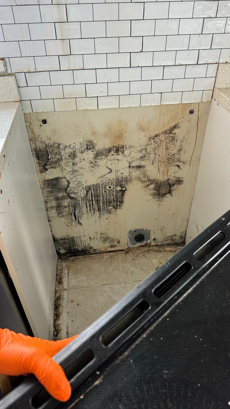 Mold Remediation - Fast & Reliable Mold Removal Solutions